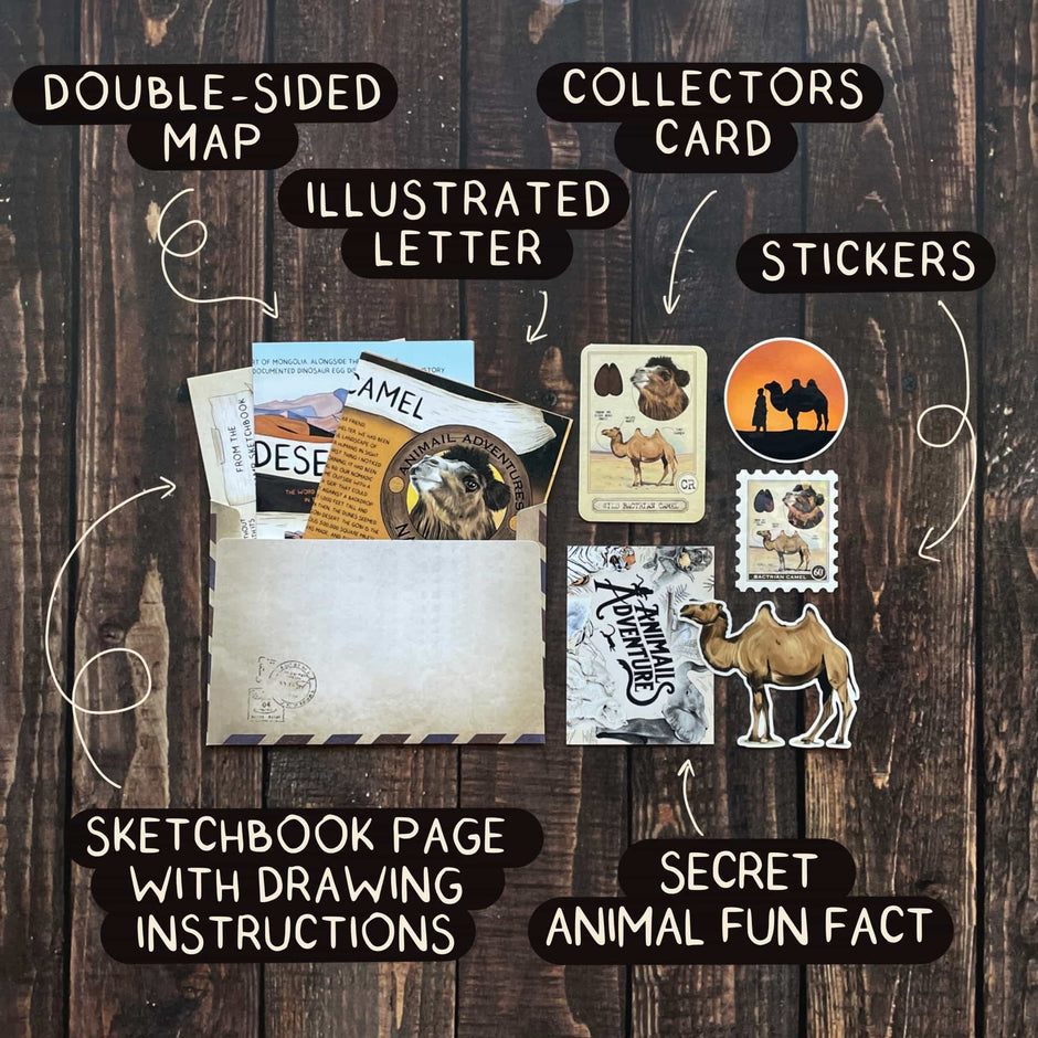 LETTERS – animailadventures