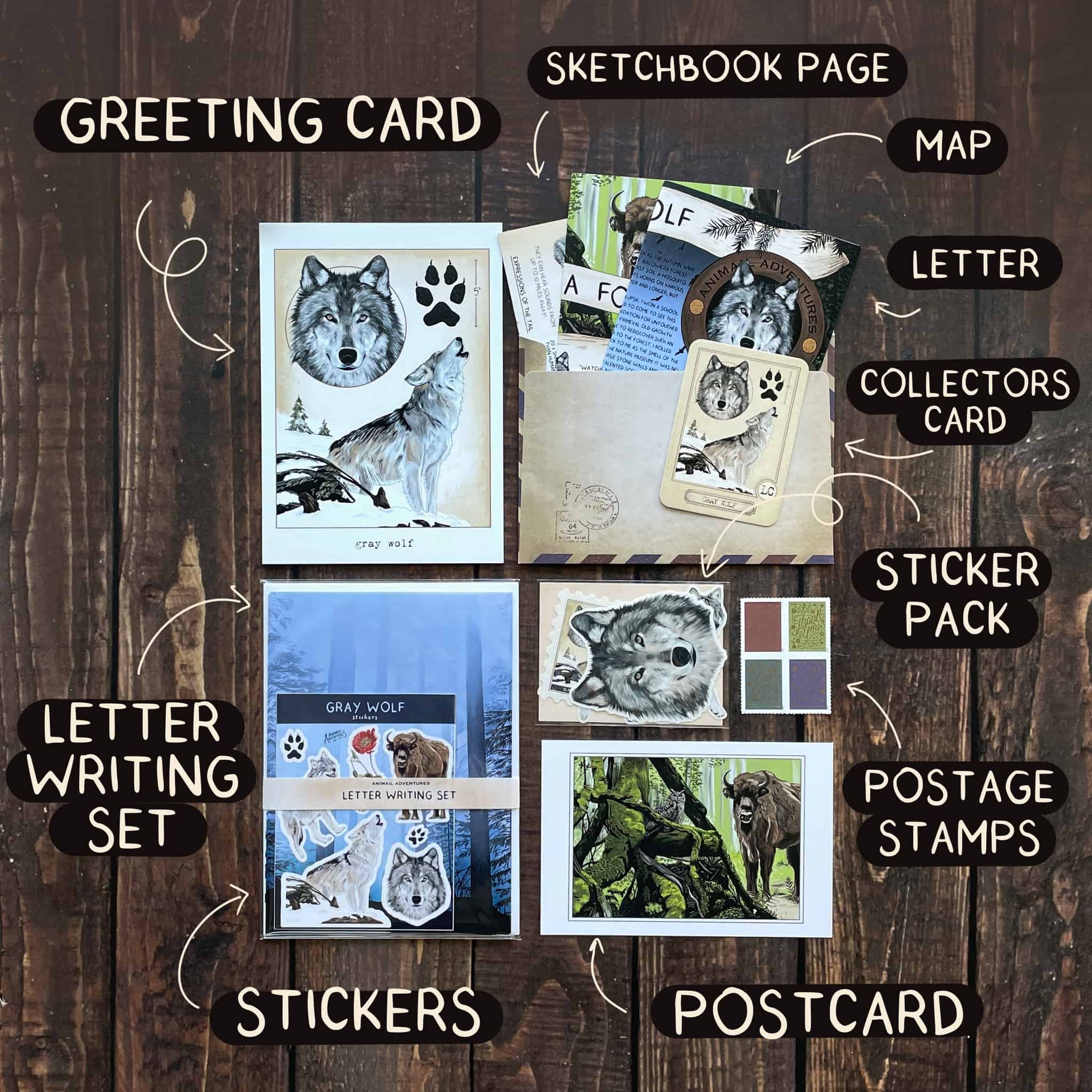 Gray Wolf - Pen Pal Tier – animailadventures