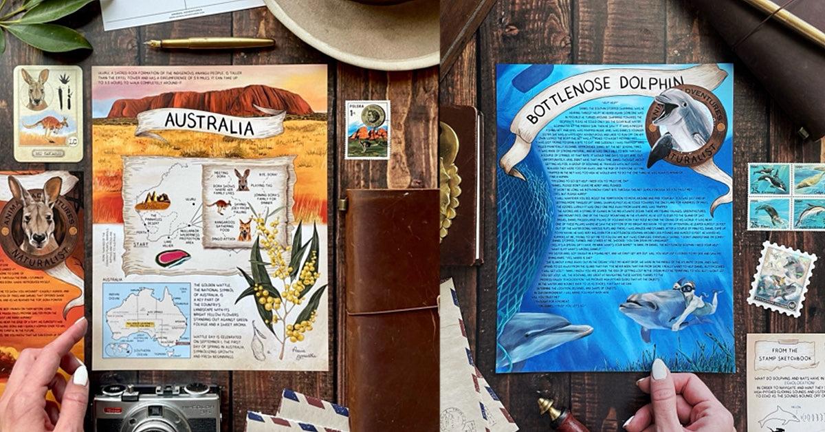 KING COBRA – animailadventures